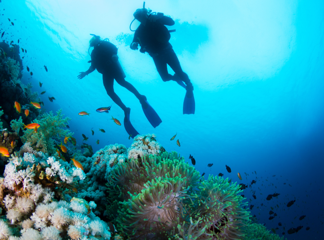 The Rise of Experiential Travel: How to Plan a Trip You’ll Never Forget ...
